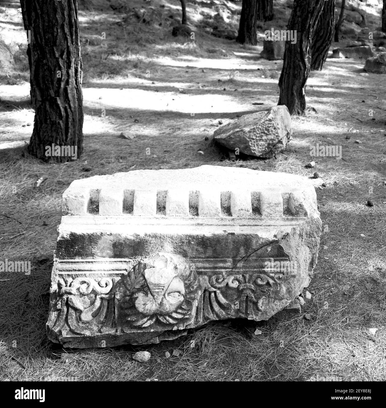 Old ruined column and destroyed stone in phaselis temple turkey asia ...