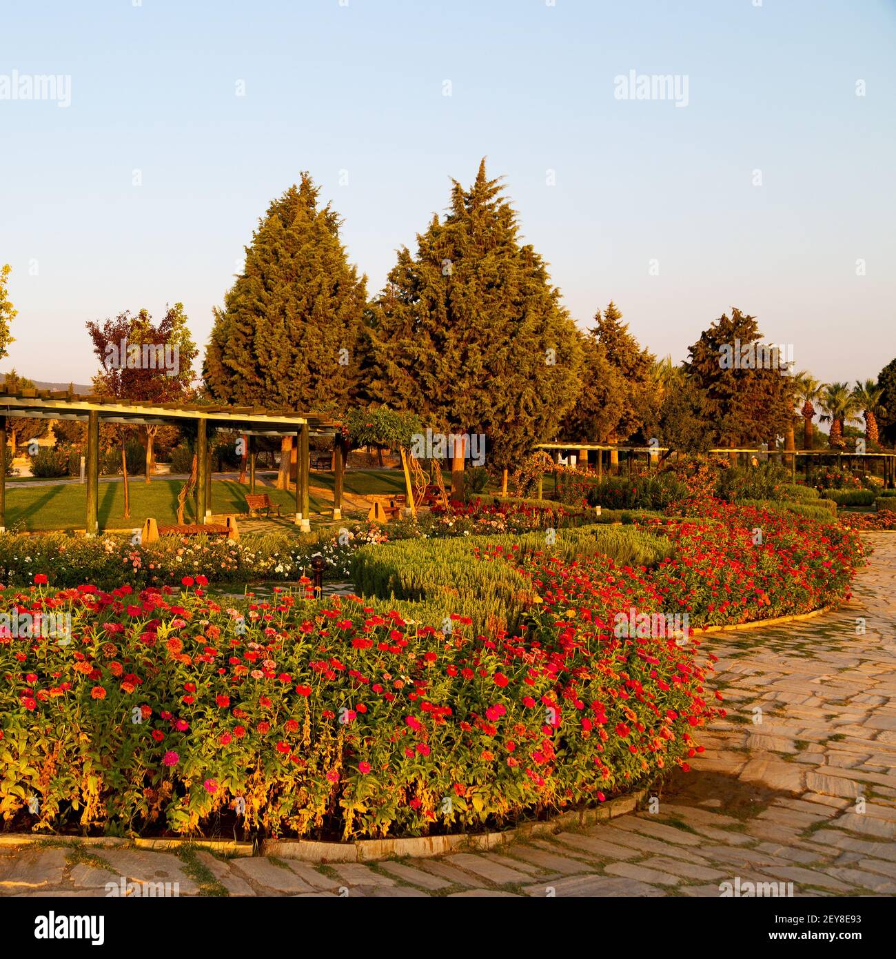 Olf Trees High Resolution Stock Photography and Images - Alamy