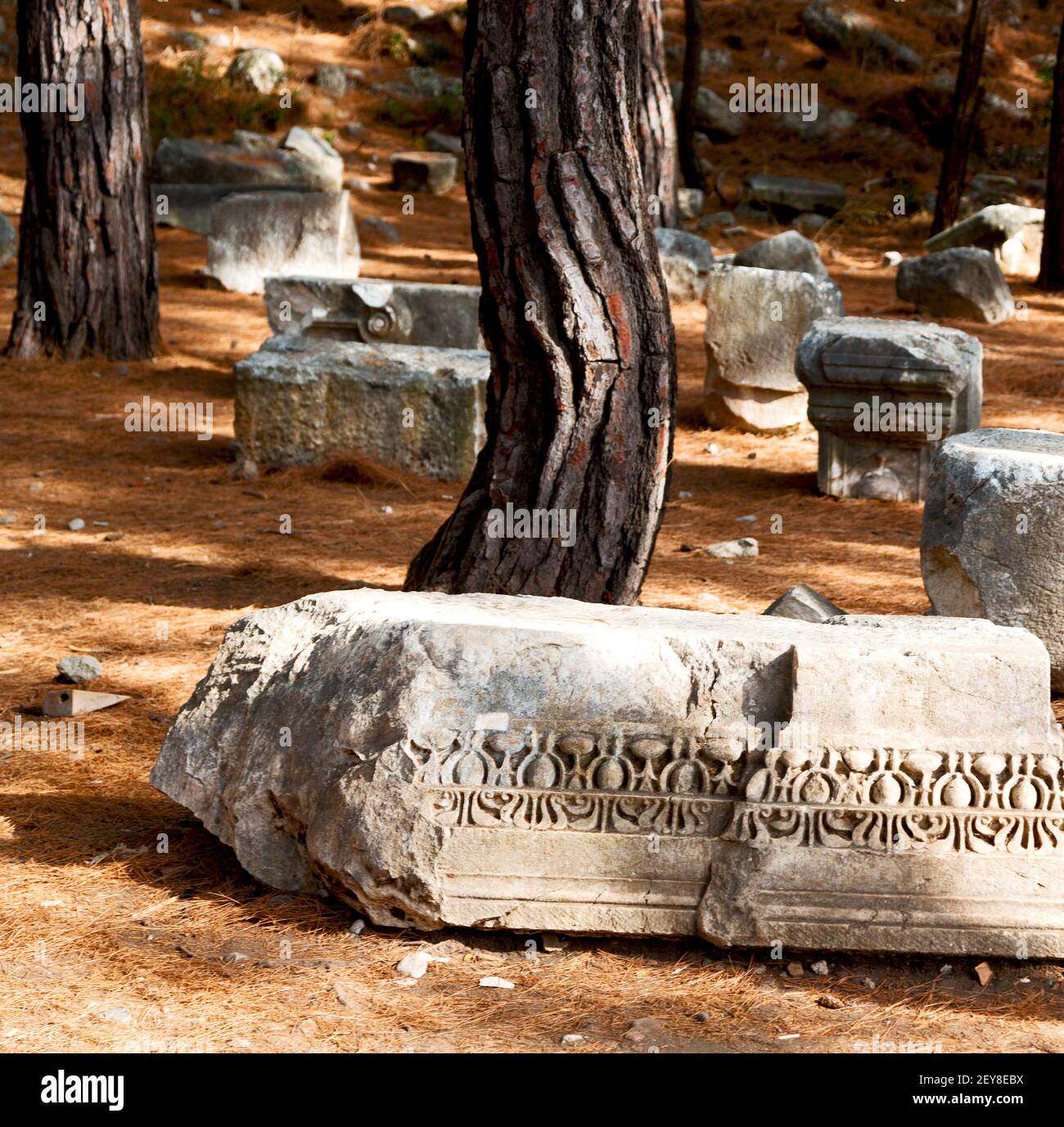 Old ruined column and destroyed stone in phaselis temple turkey asia ...