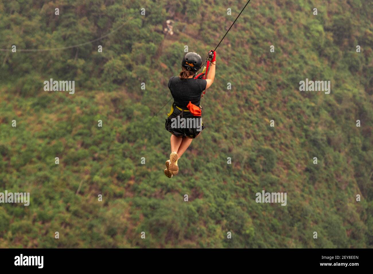 Green lining hi-res stock photography and images - Alamy