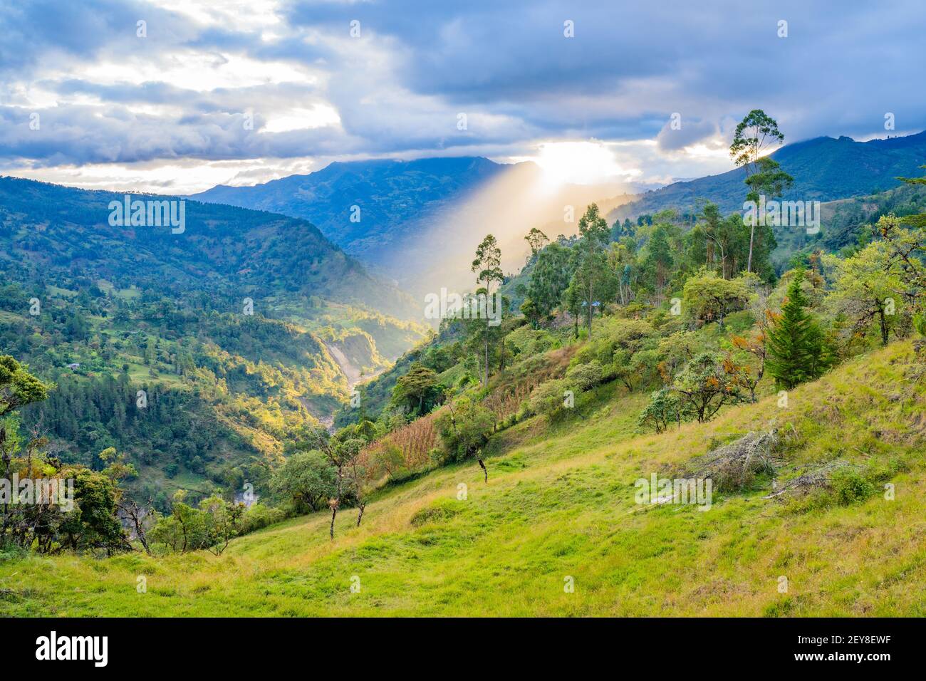 beautiful ray of sunshine at Guayabal, ramiriquí, Boyacá, Colombia ...