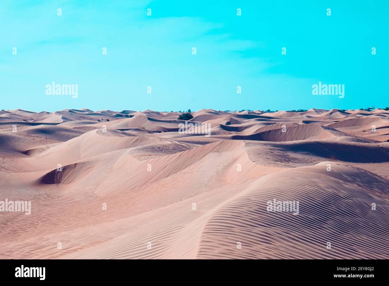 The sand dunes in a desert near Dubai, UAE Stock Photo - Alamy