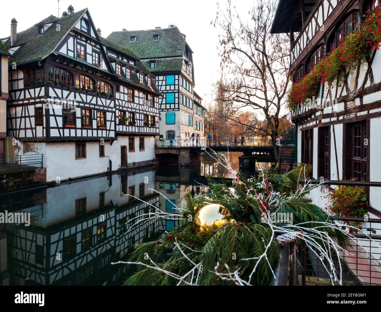 stunning colors of autumn in the city of Strasbourg. Colored leaves ...