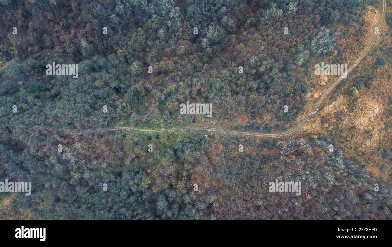 An aerial view of a winding road surrounded by greens and trees Stock ...