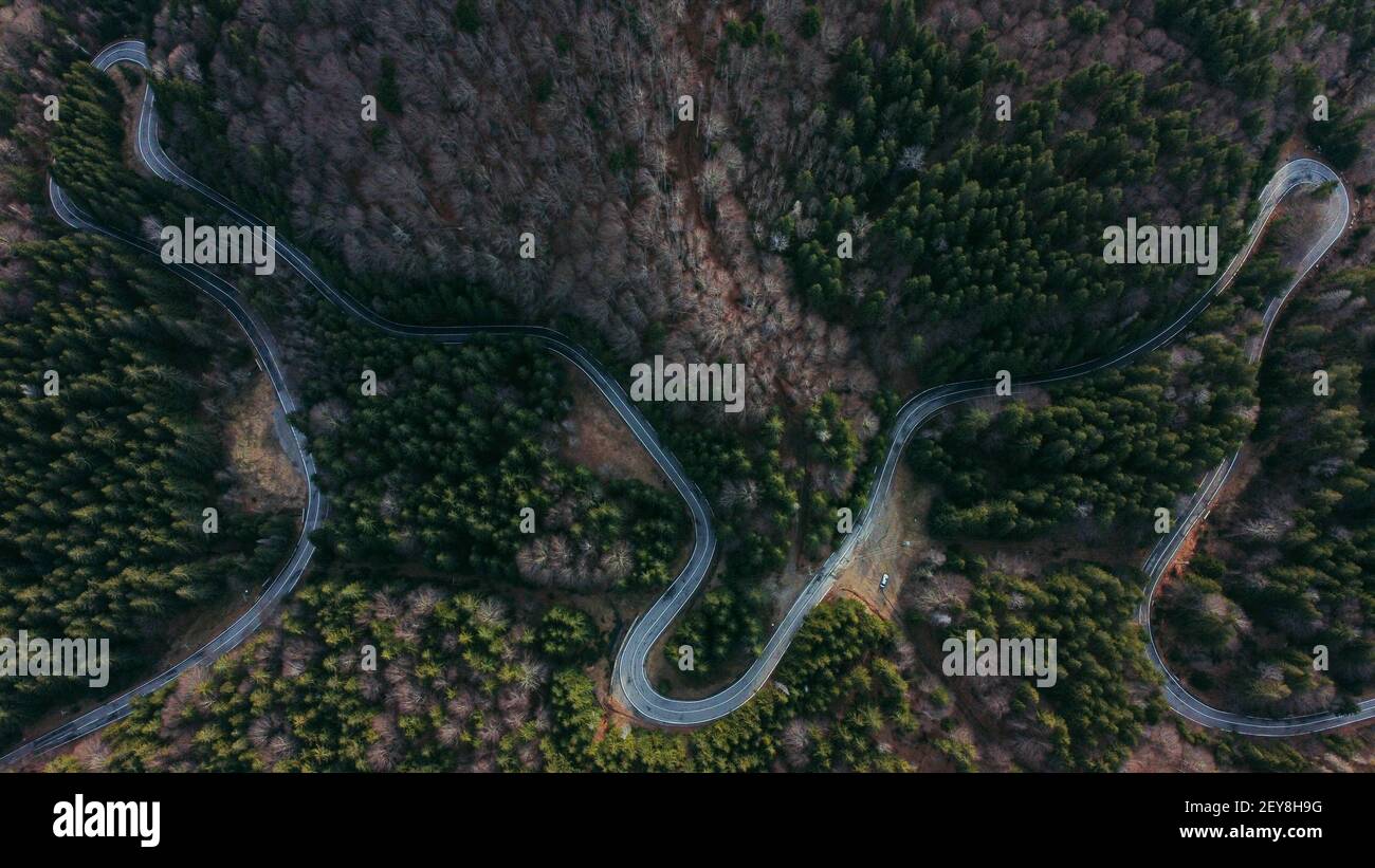 An aerial view of a winding road surrounded by greens and trees Stock ...