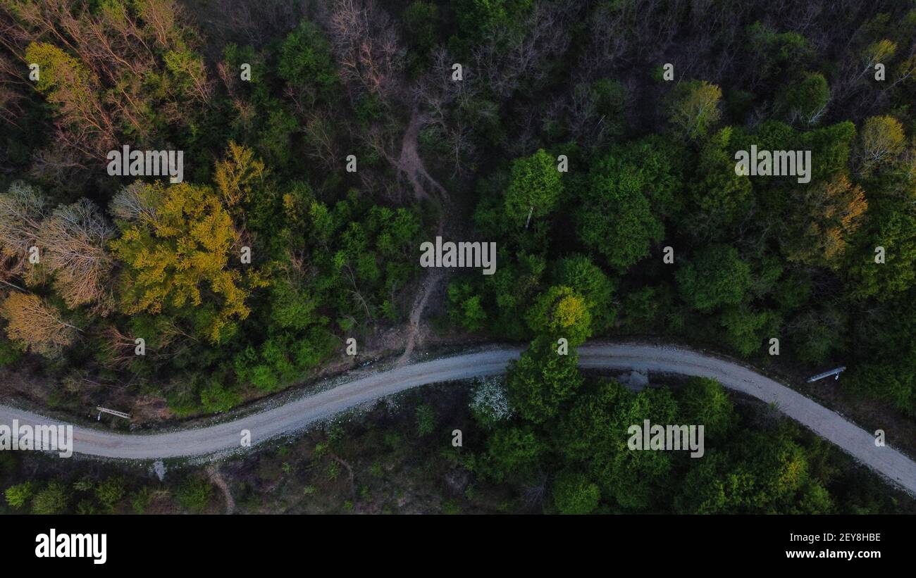 An aerial view of a winding road surrounded by greens and trees Stock ...
