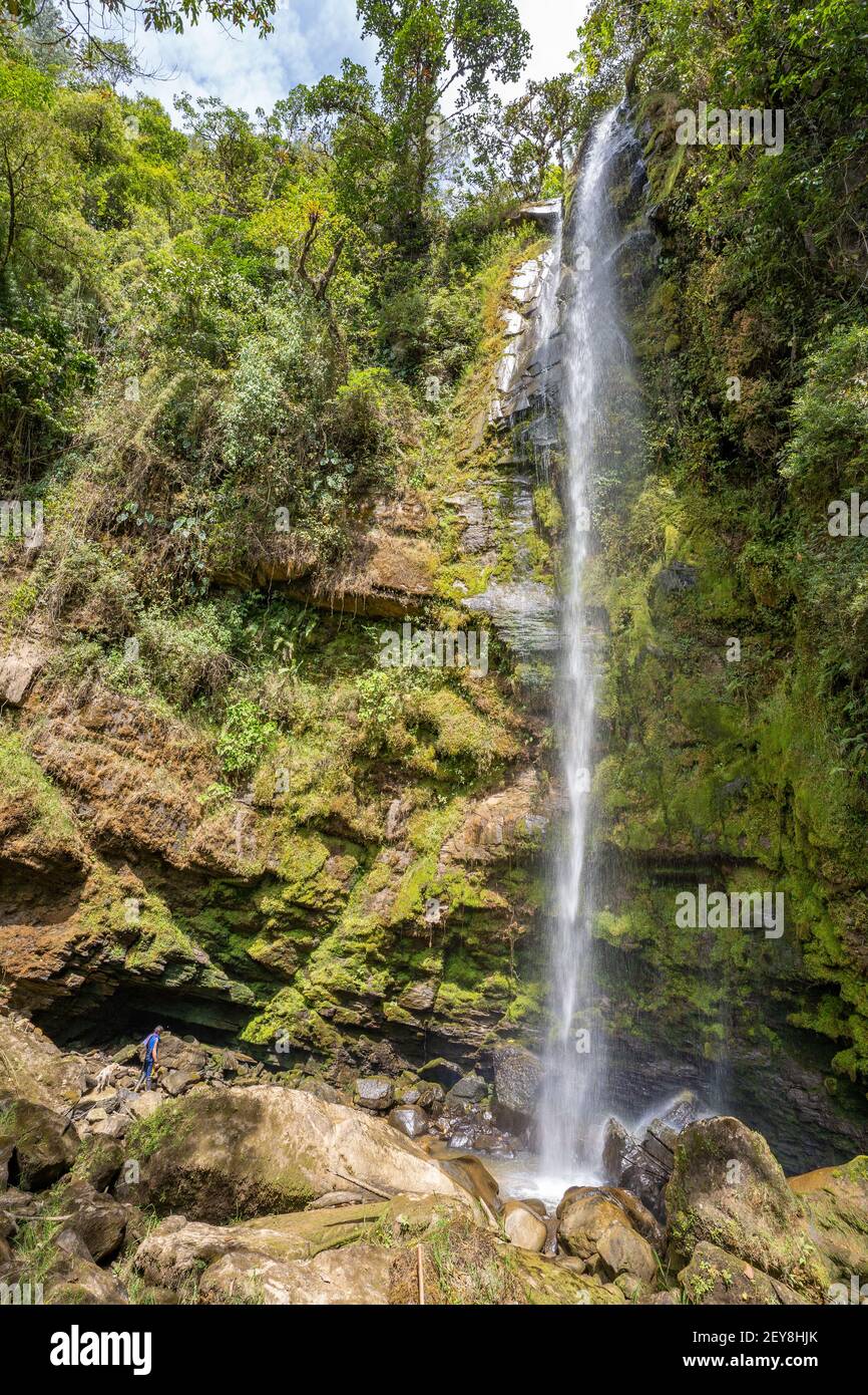 Guayabal hi-res stock photography and images - Alamy