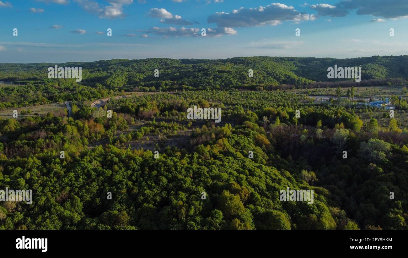 Aerial shot dense forests in hi-res stock photography and images - Alamy