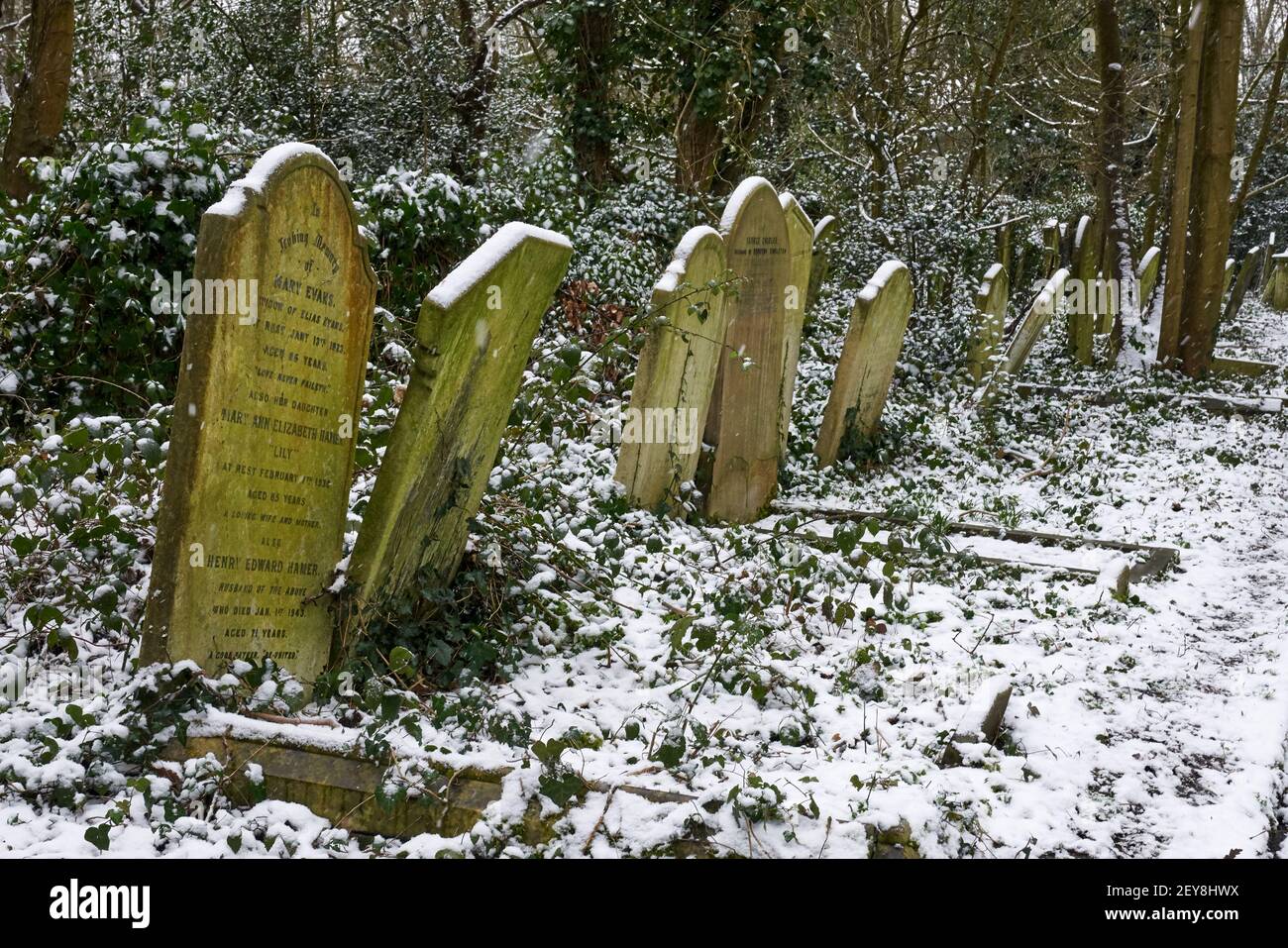 abney park cemetery london cemetery Stock Photo - Alamy