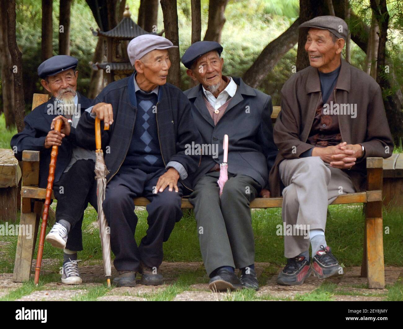 Dragon chat hi-res stock photography and images - Alamy