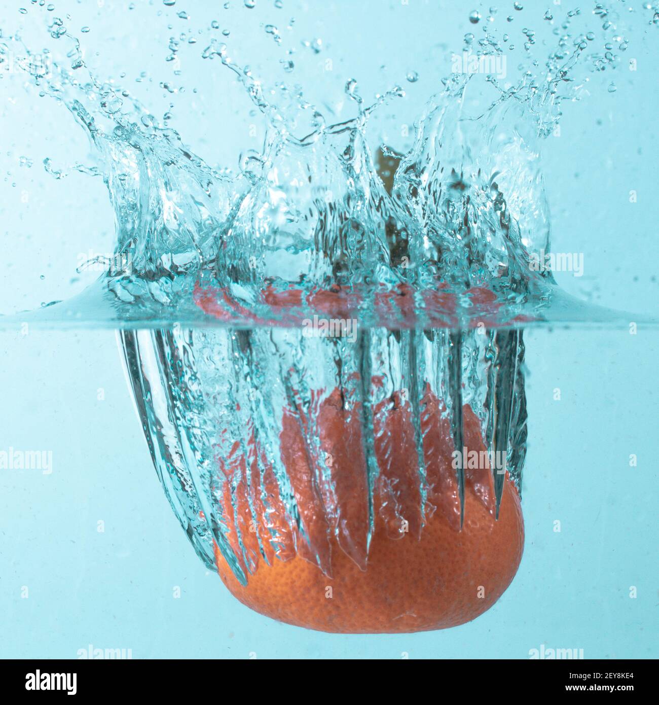 A ripe fresh mandarin falling into the clear water and splashing it ...