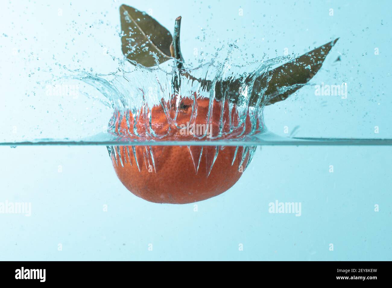 A ripe fresh mandarin falling into the clear water and splashing it ...