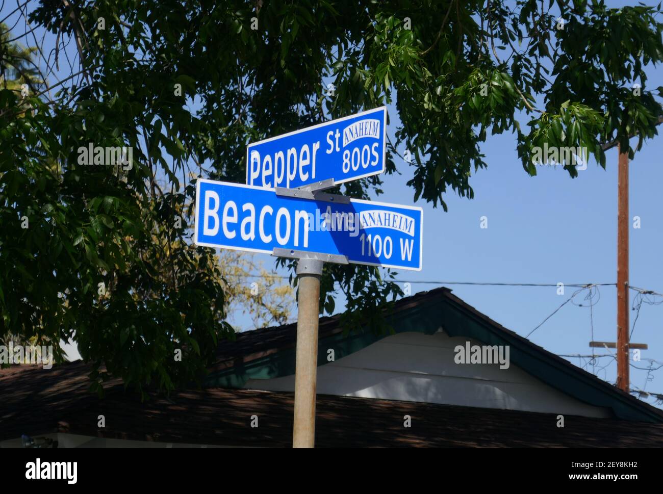 1173 w beacon avenue hi-res stock photography and images - Alamy