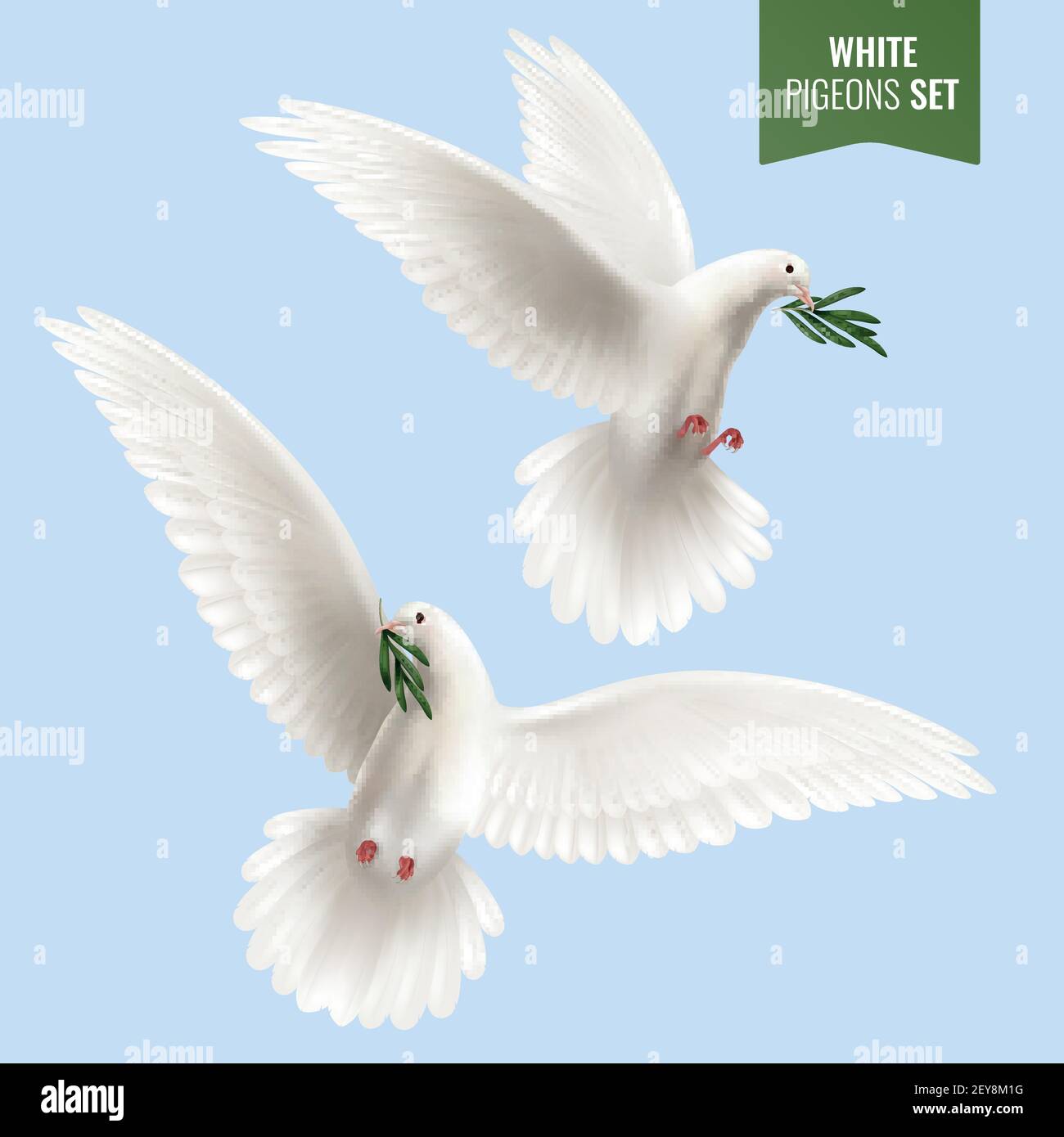 White Dove Set With Peace And Olive Branch Symbols Realistic Isolated