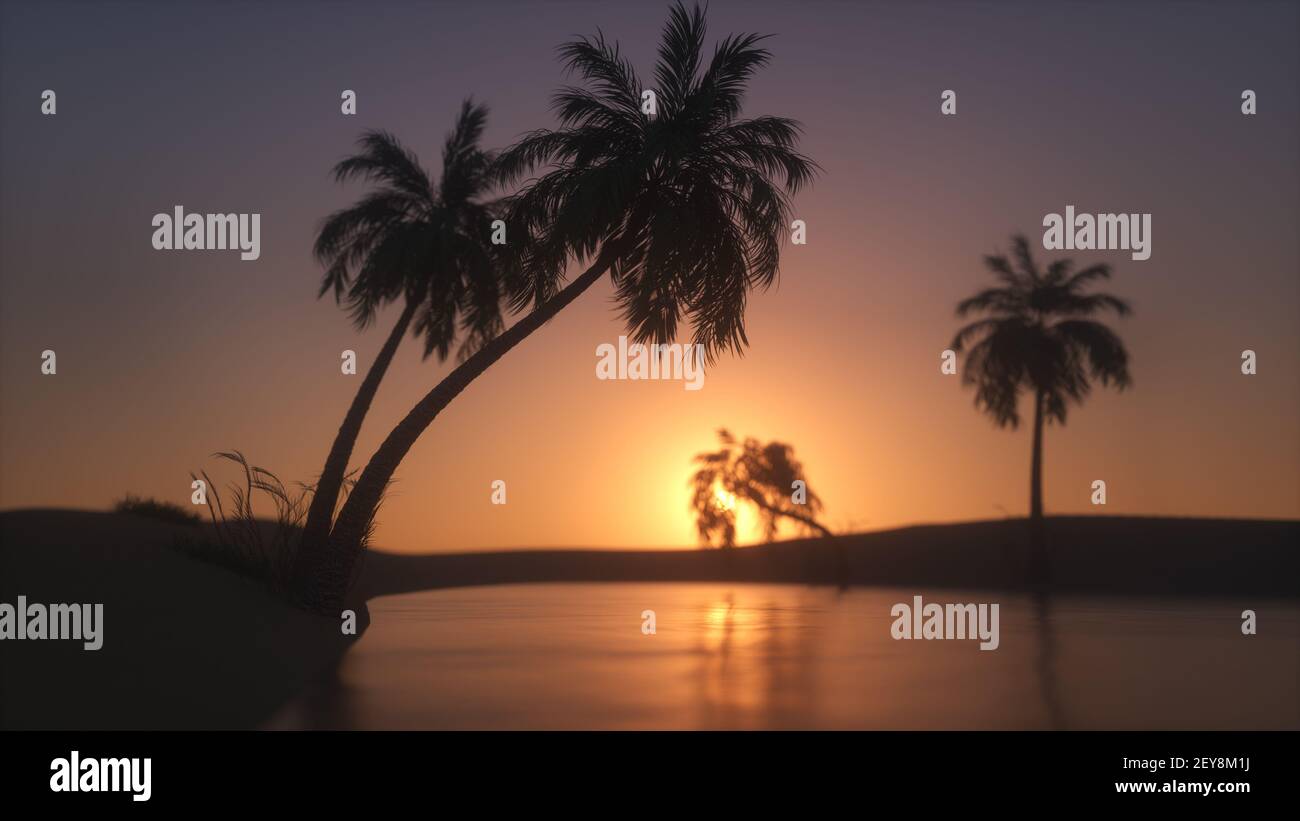 Palm beach sunset hi-res stock photography and images - Alamy