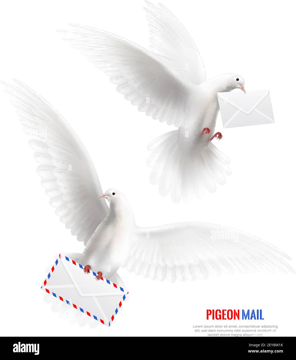 White pigeons set with pigeon mail symbols realistic isolated vector ...