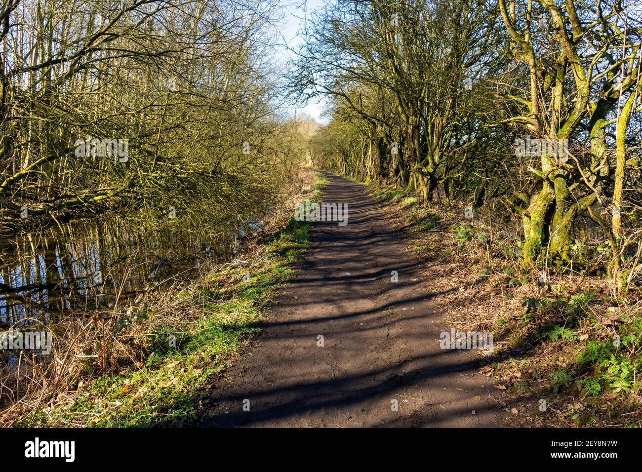 The former canal towpath, Hollinwood Branch Canal Nature Reserve, Daisy ...
