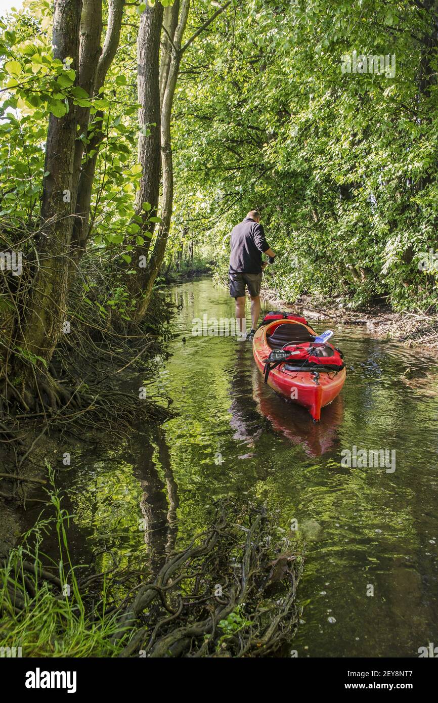A back view of an adventurous male kayaker dragging the kayak through ...