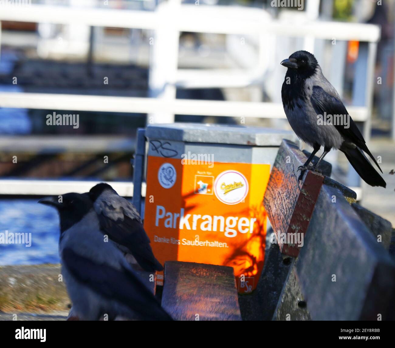 Steamboat landing stage hi-res stock photography and images - Alamy