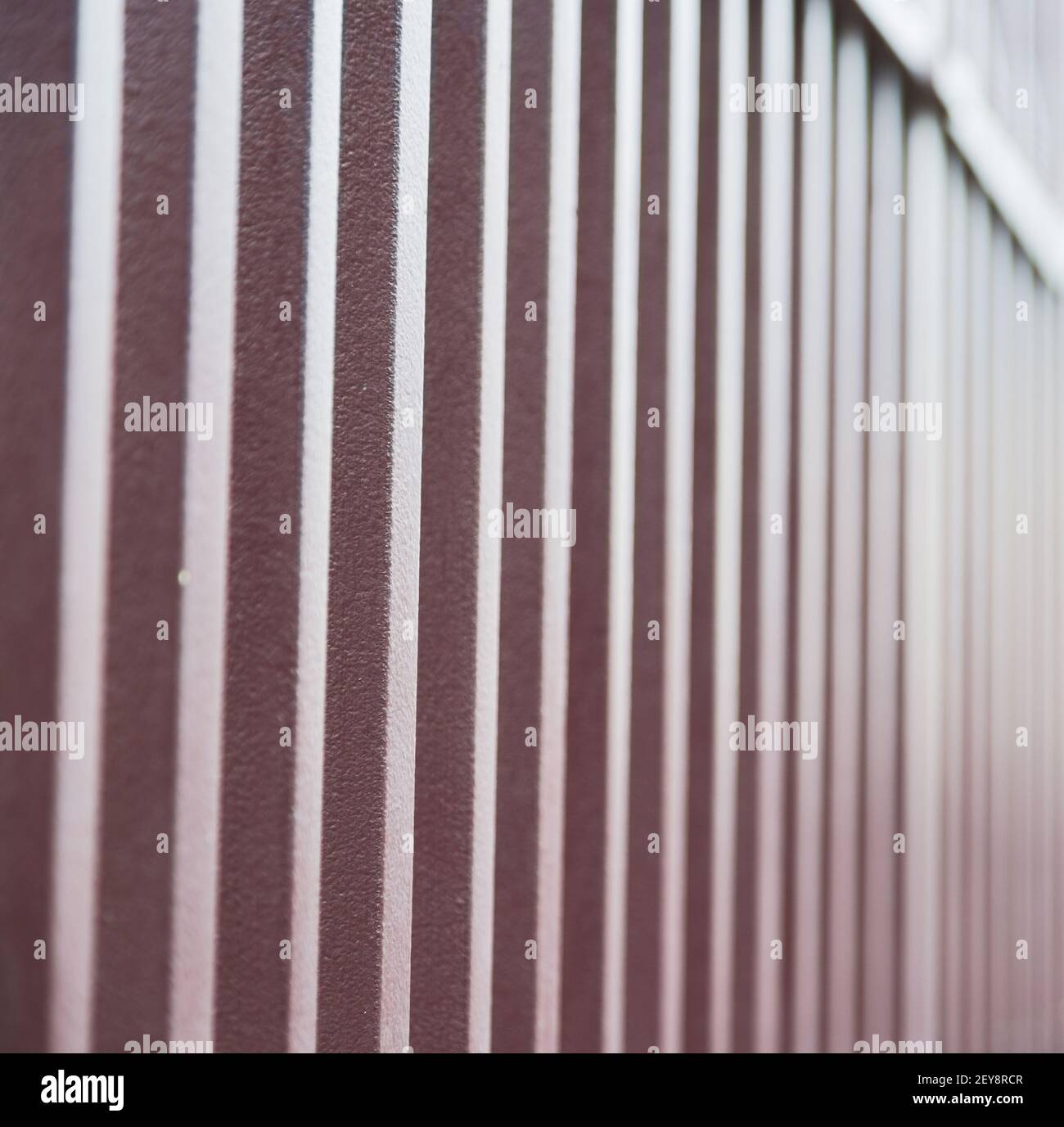 Abstract metal in englan london railing steel and background Stock ...