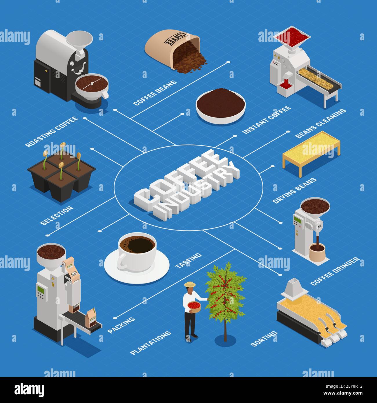 Coffee industry production isometric flowchart composition with ...