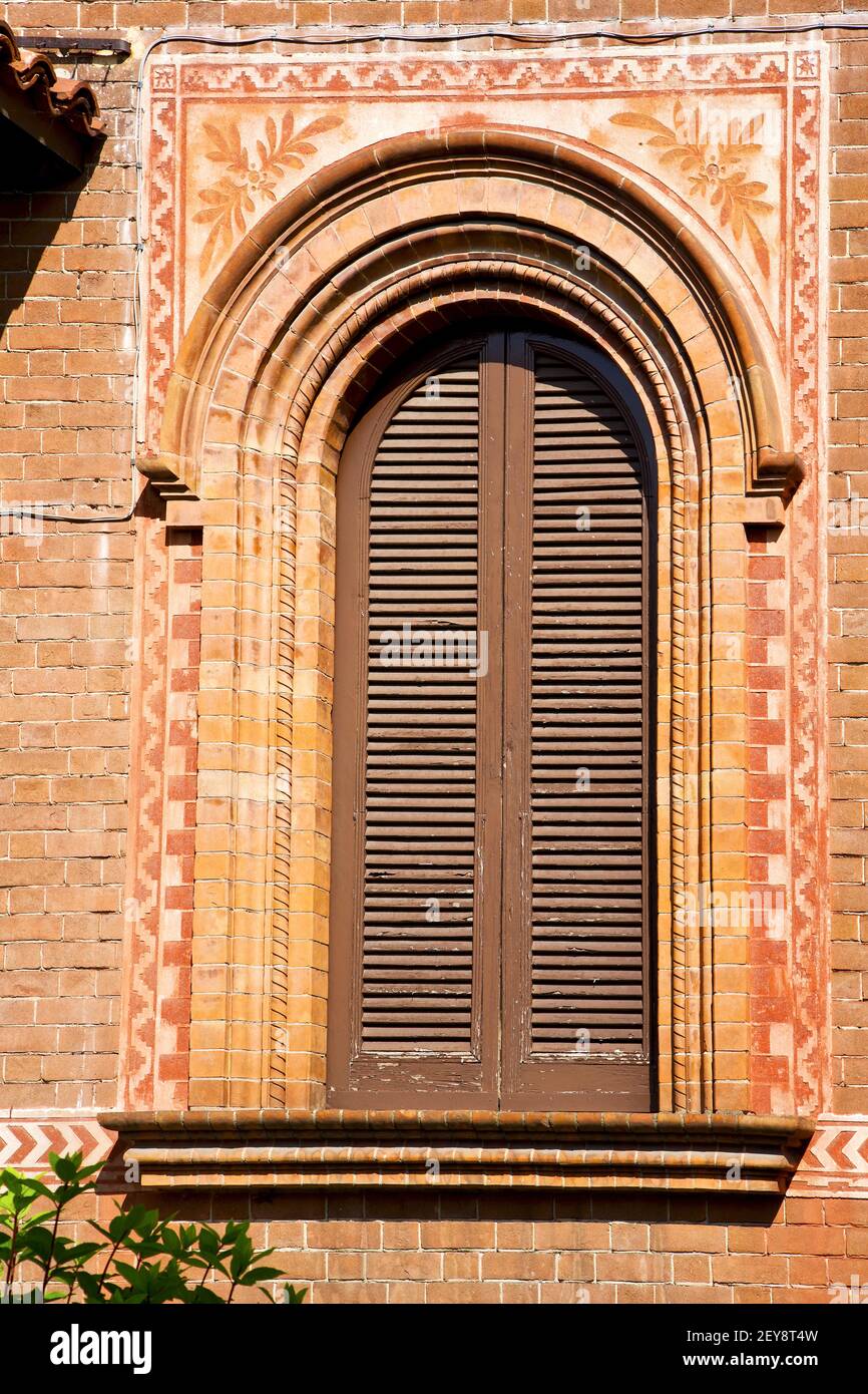 Plant mornago varese Stock Photo - Alamy