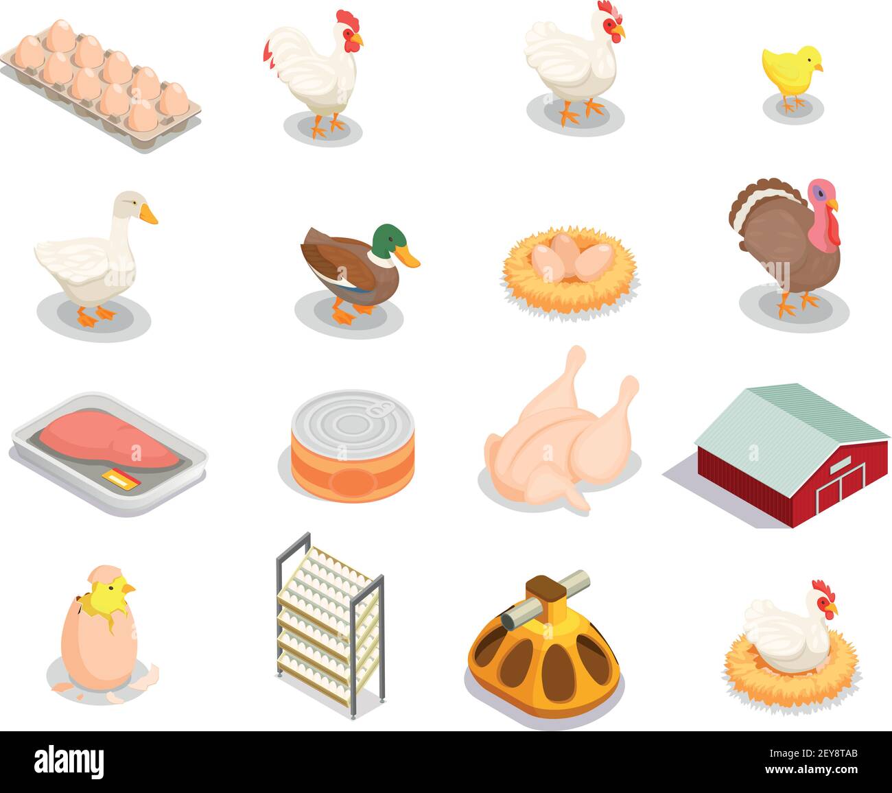 Poultry production isometric set of brood hen bird feeder canned goods ...