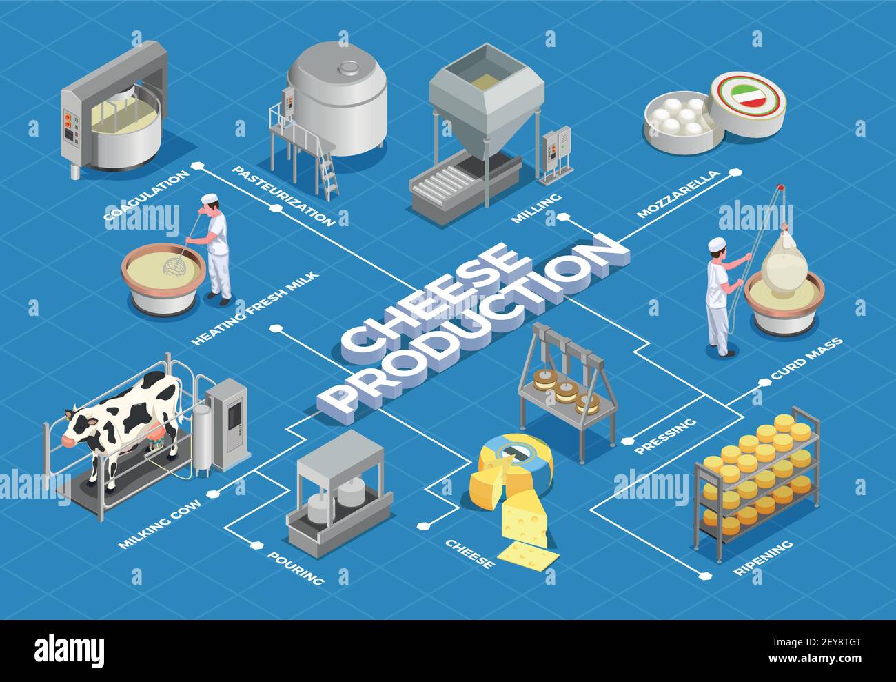 How Cheese Is Made Flowchart