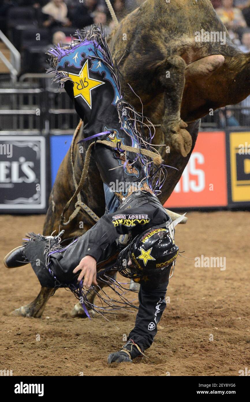 07 JANUARY 2013 - New York - Stormy Wing is thrown off Slippery Devil ...