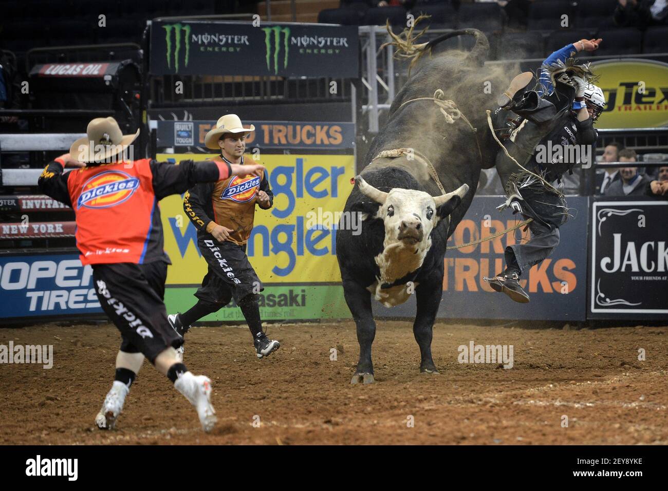 07 JANUARY 2013 - New York - Ryan Dirteater dismounts Jack on Black as ...