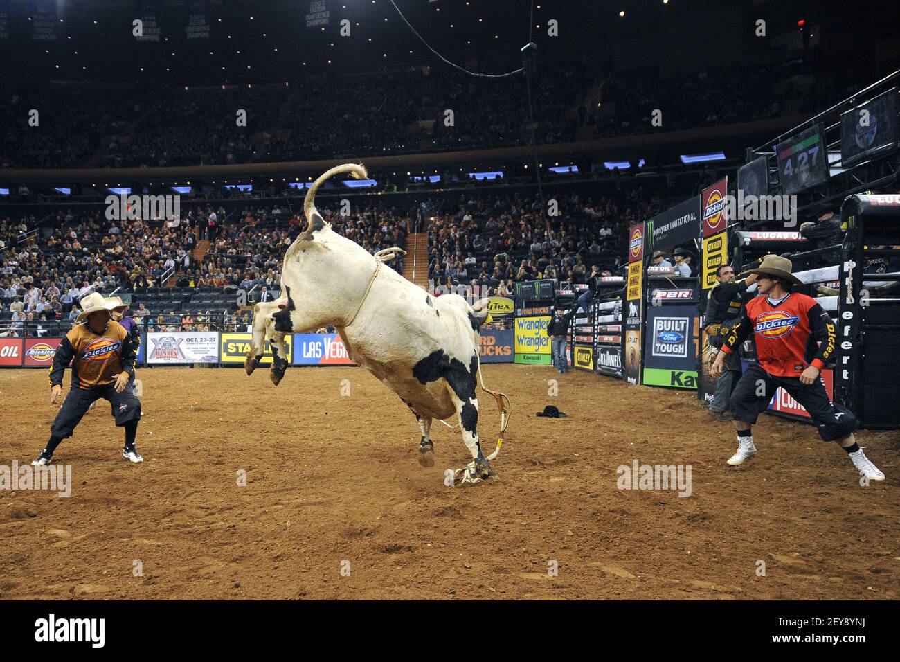07 JANUARY 2013 - New York - Rodeo clowns distracts a bull as it's ...