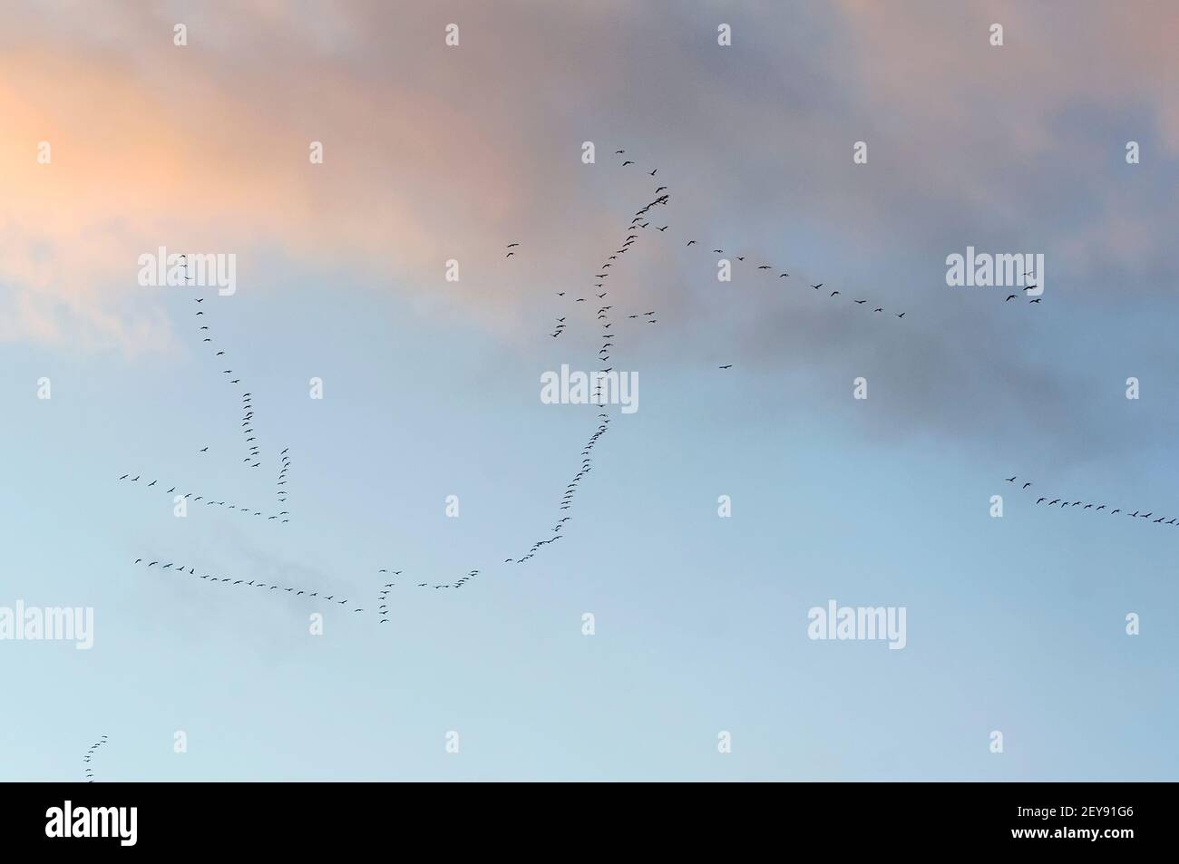 Flight patterns hi-res stock photography and images - Alamy