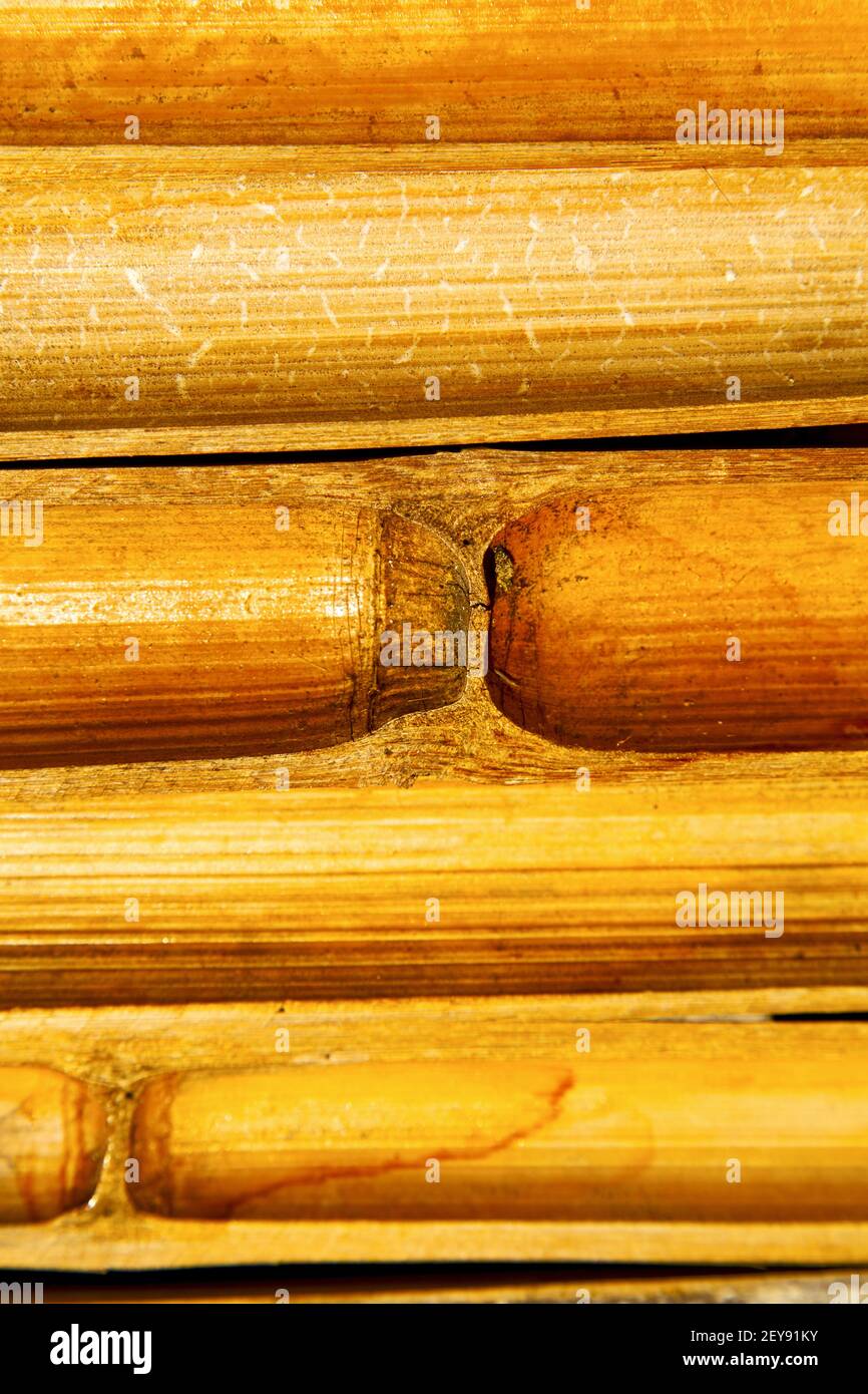 Thailand abstract cross bamboo in the Stock Photo - Alamy
