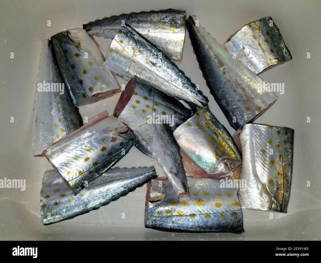 A freshly chopped Spanish Mackerel ready to be cooked Stock Photo - Alamy