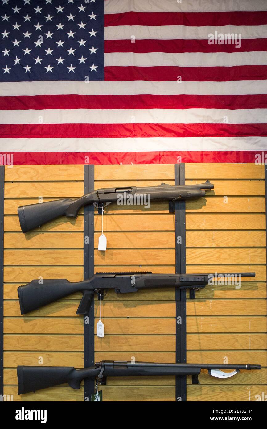 11 January 2013 - Chantilly, Virginia - Assault Rifles, also known as ...