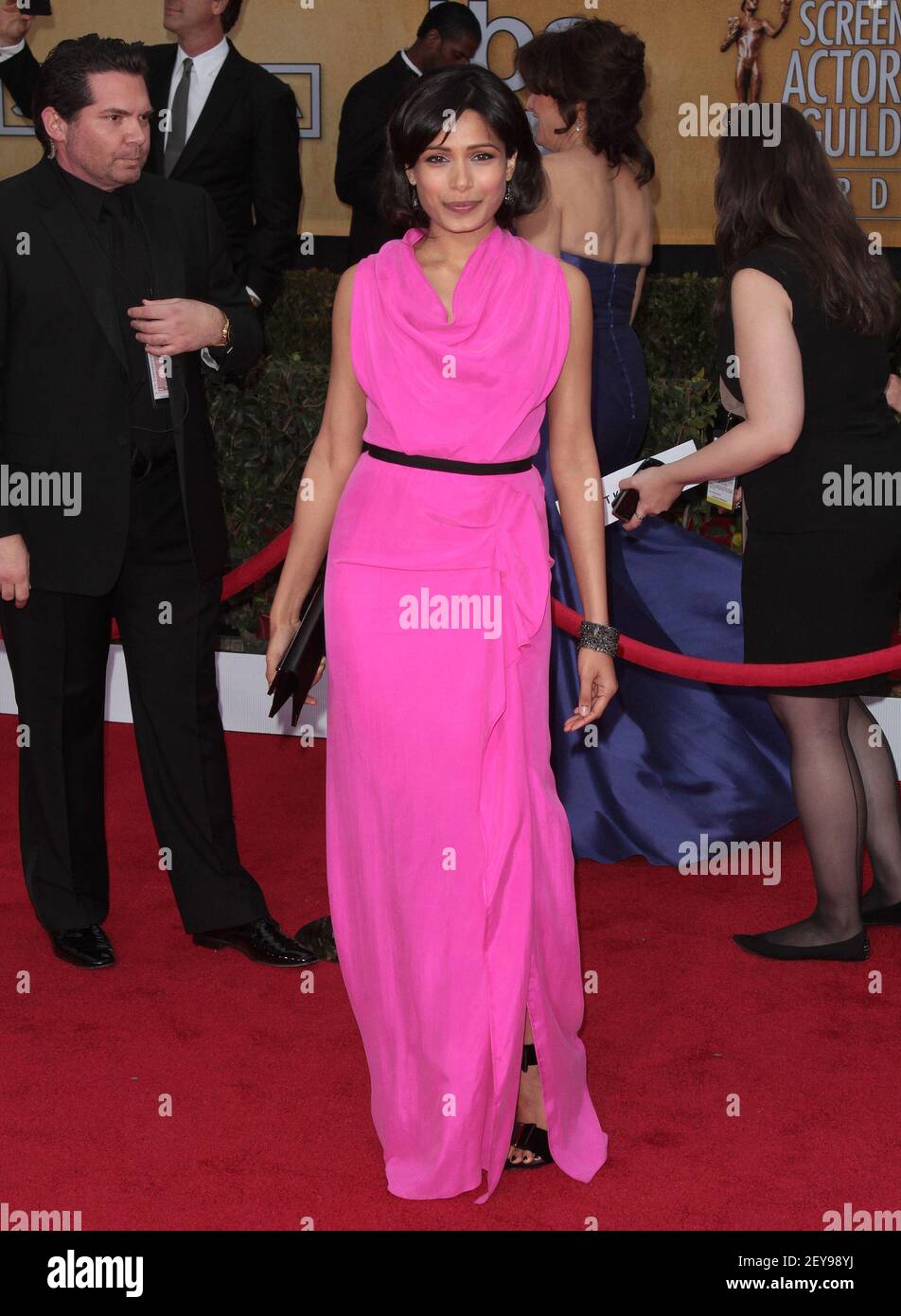 27 January 2013 - Los Angeles, CA - Freida Pinto arrives at; The 19th ...