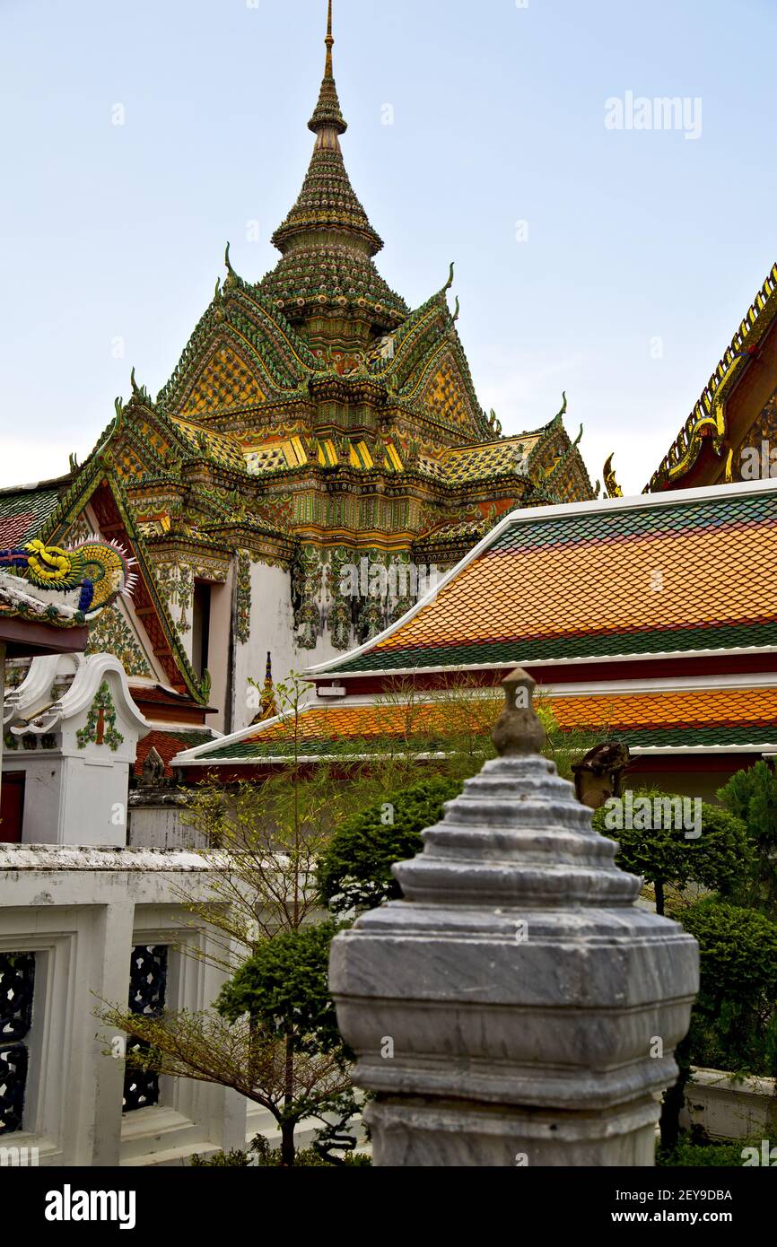 Asia thailand bangkok rain tree Stock Photo - Alamy