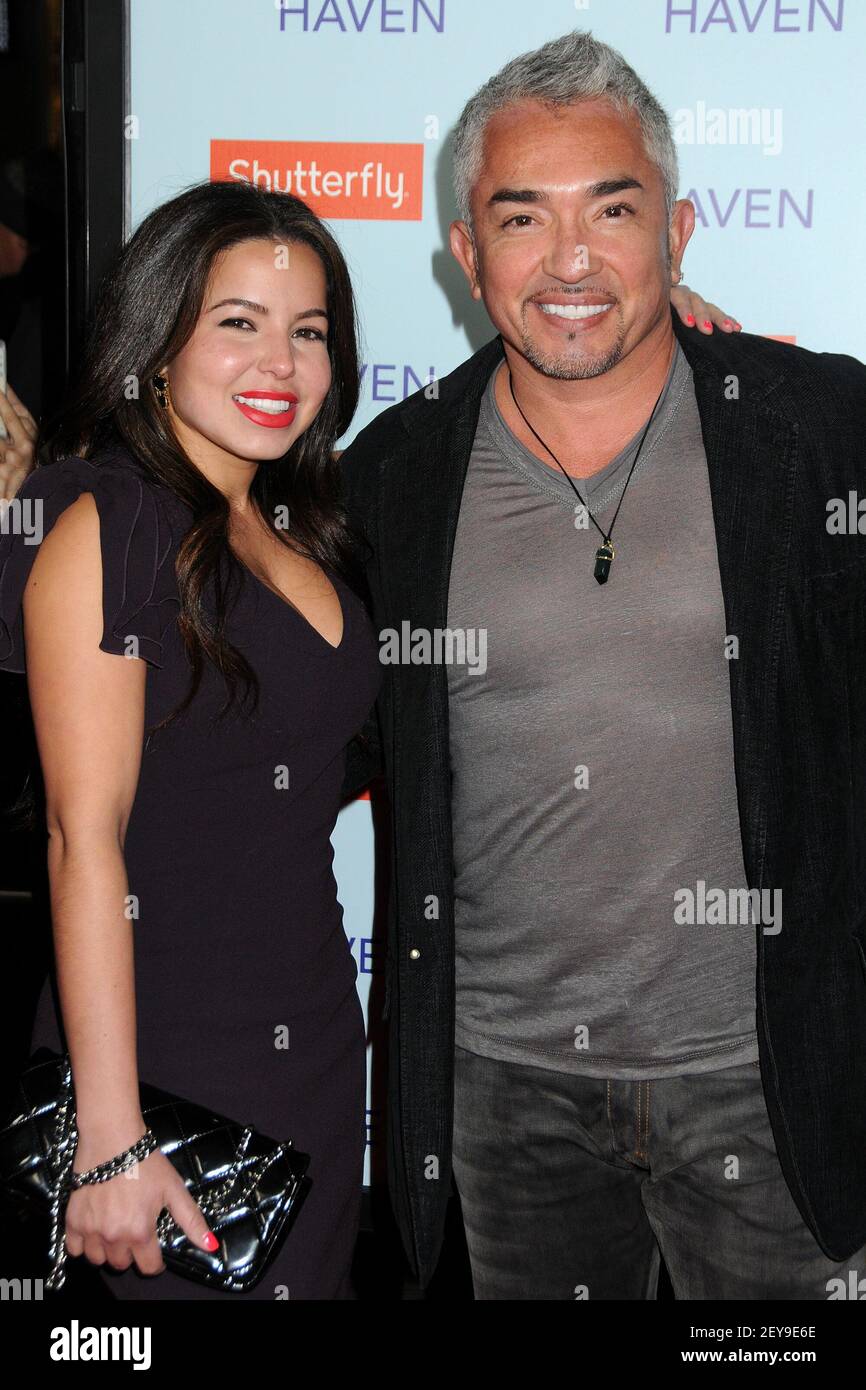 5 February 2013 - Hollywood, California - Cesar Millan. "Safe Haven ...