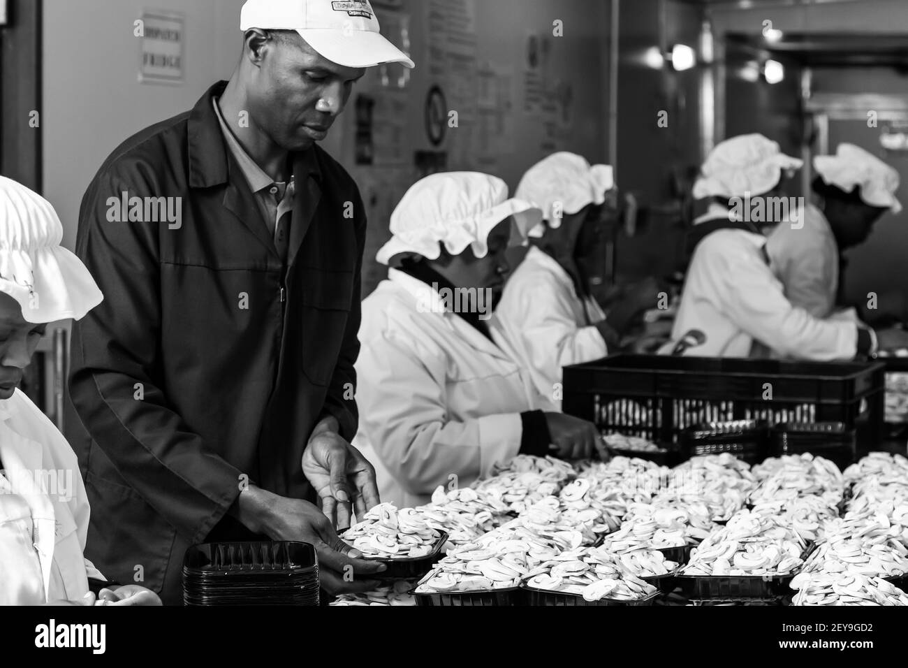 Africa food processing Black and White Stock Photos & Images - Alamy