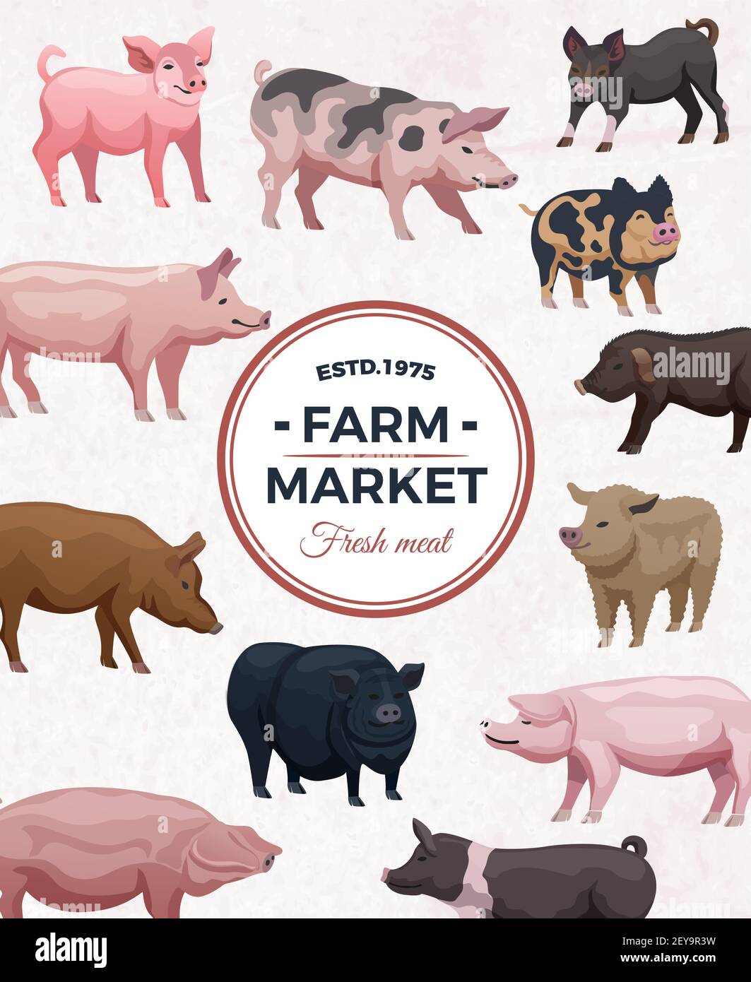 Farm market advertising poster with round frame and various pigs on ...