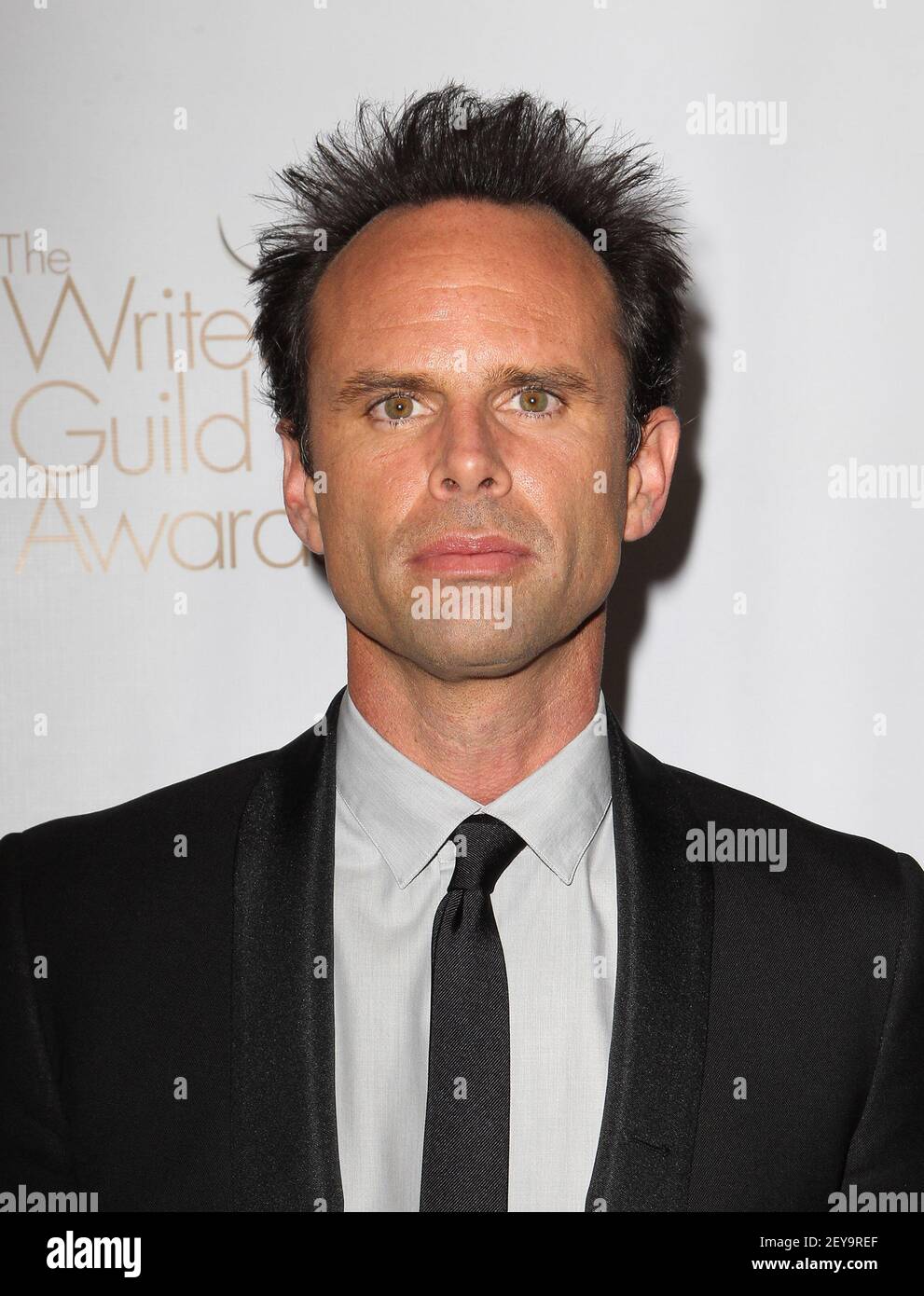 17 February 2013 - Los Angeles, California - Walton Goggins. 2013 WGAw ...