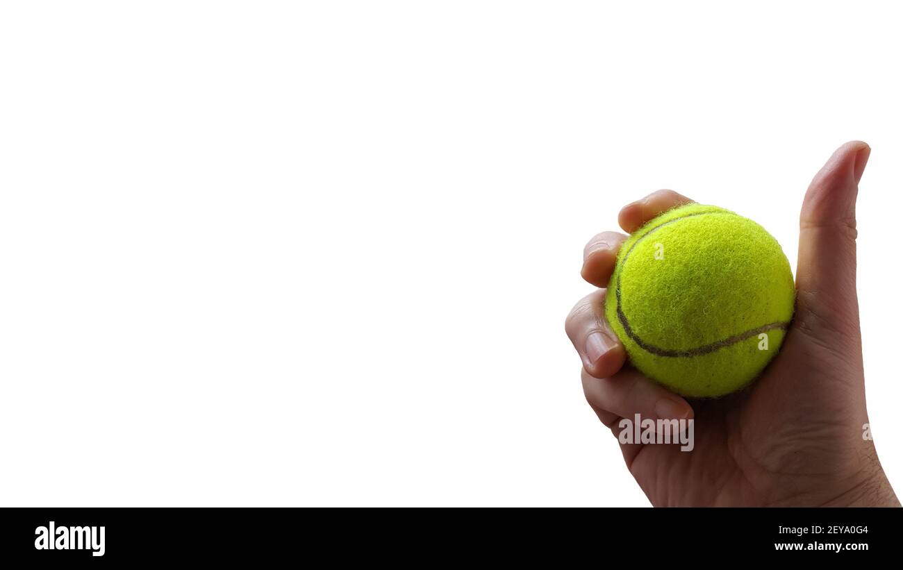 A hand holding a tennis ball on a white background Stock Photo - Alamy