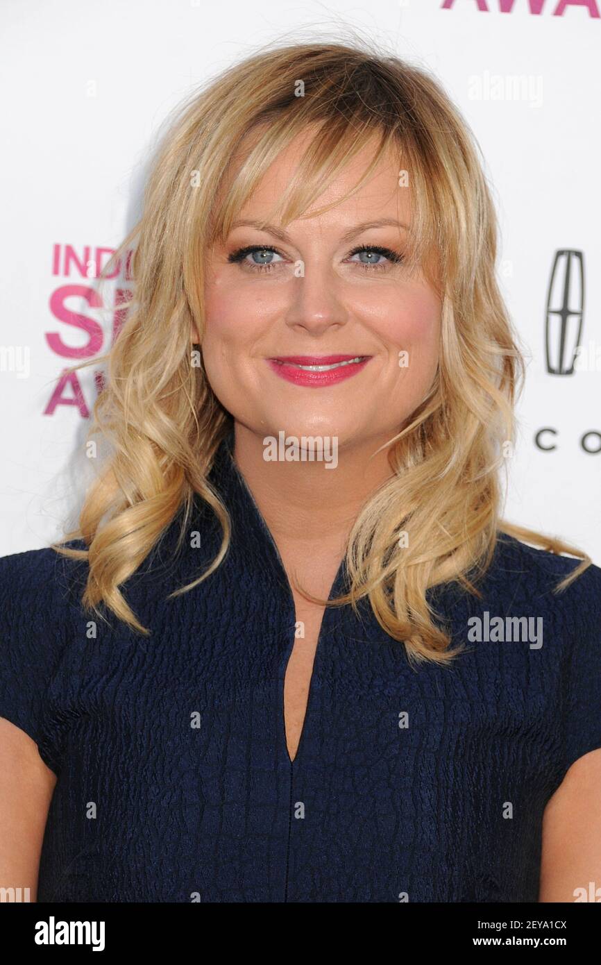 23 February 2013 - Santa Monica, California - Amy Poehler. 2013 Film ...
