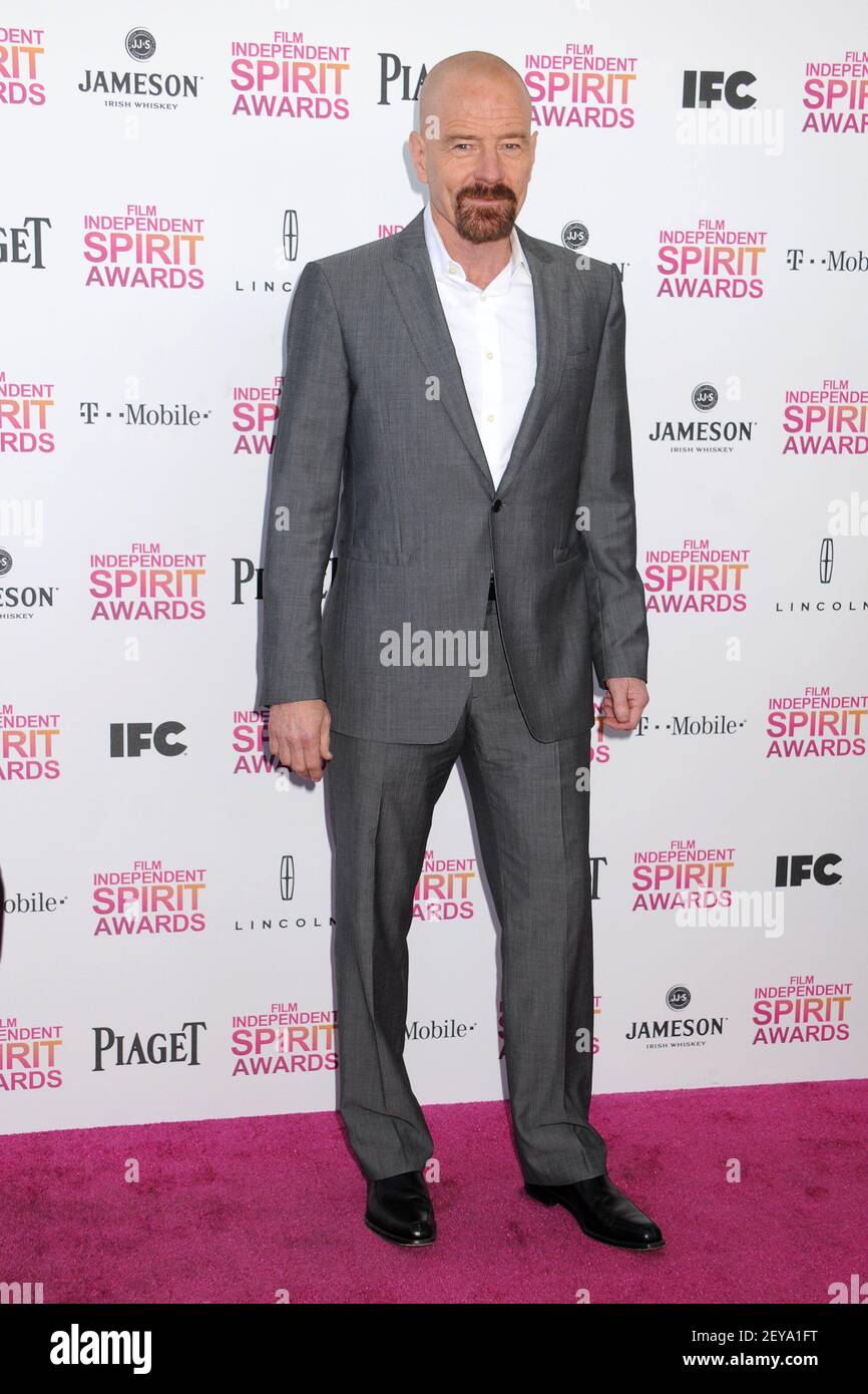 23 February 2013 - Santa Monica, California - Bryan Cranston. 2013 Film ...