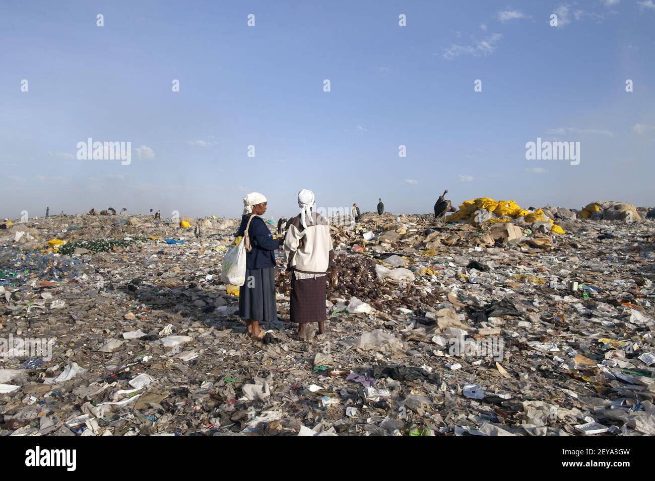 Waste food dump usa hi-res stock photography and images - Alamy