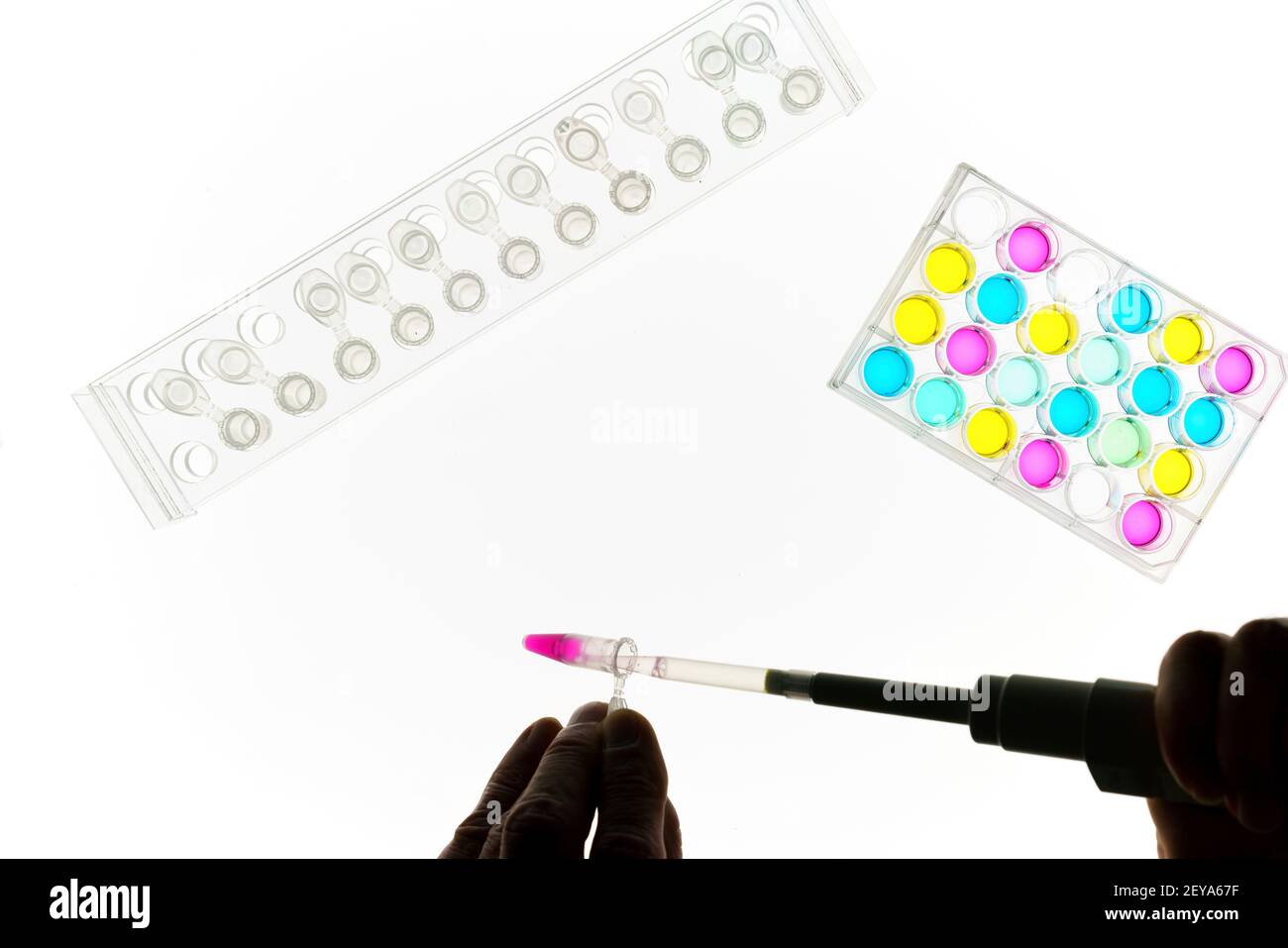 Genetic health hi-res stock photography and images - Alamy