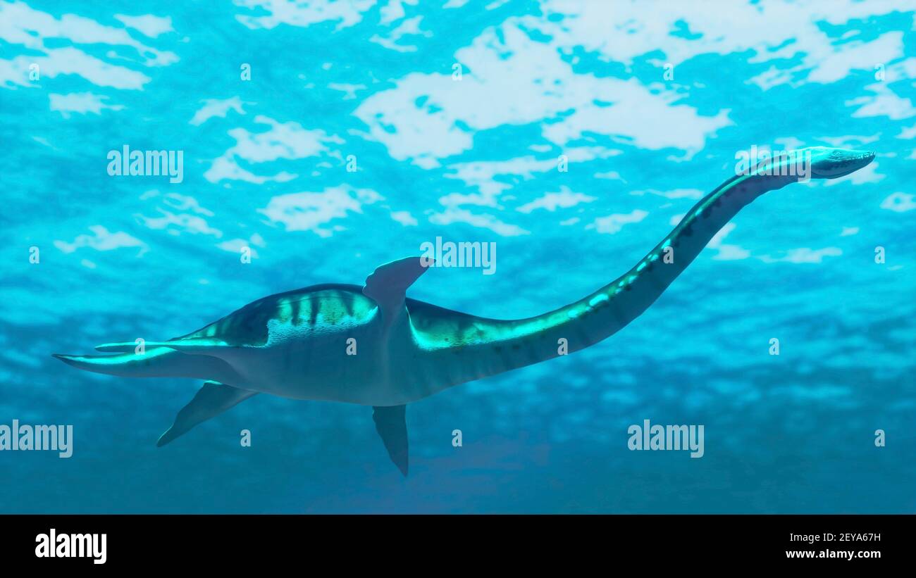 Plesiosaurus hi-res stock photography and images - Alamy