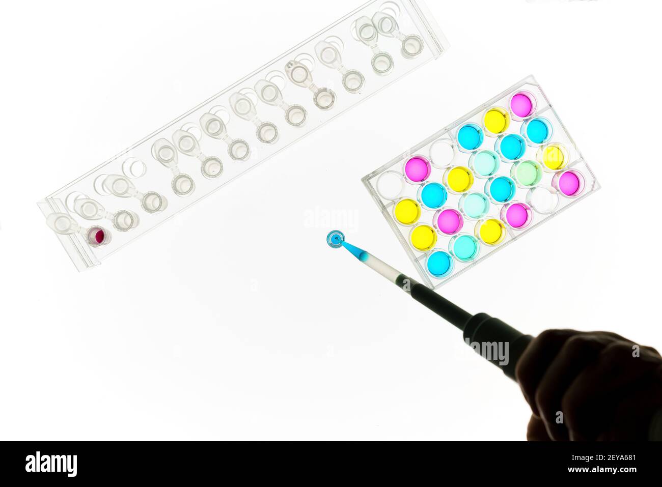 Genetic health hi-res stock photography and images - Alamy