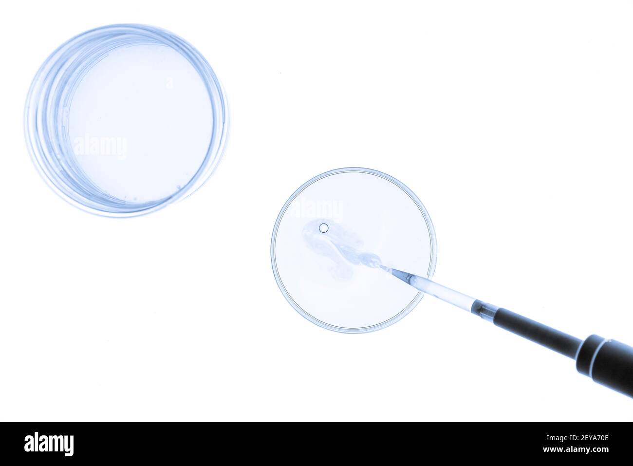 Microbiological laboratory Cut Out Stock Images & Pictures - Alamy