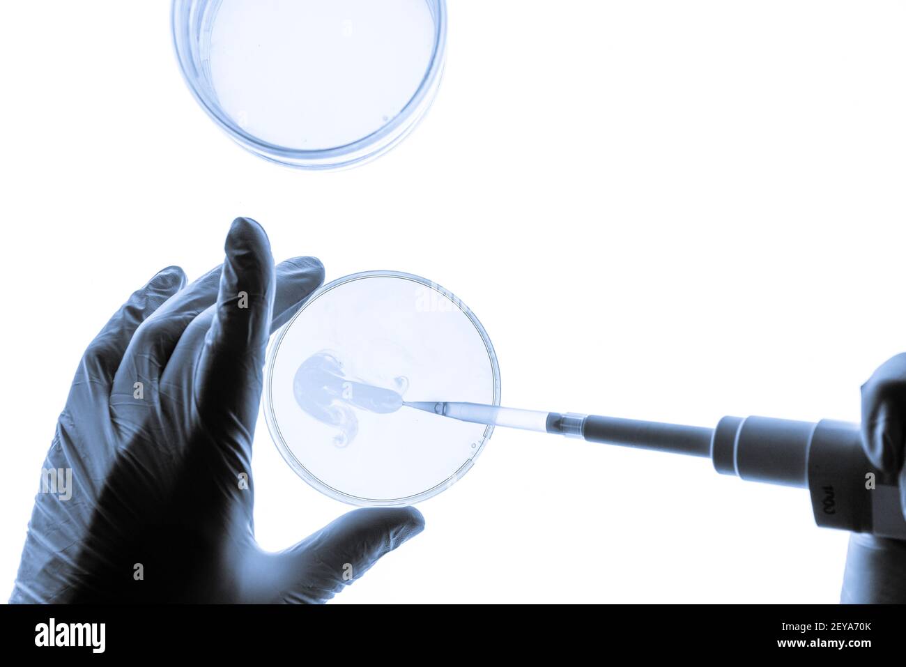 Biological research, conceptual image Stock Photo - Alamy